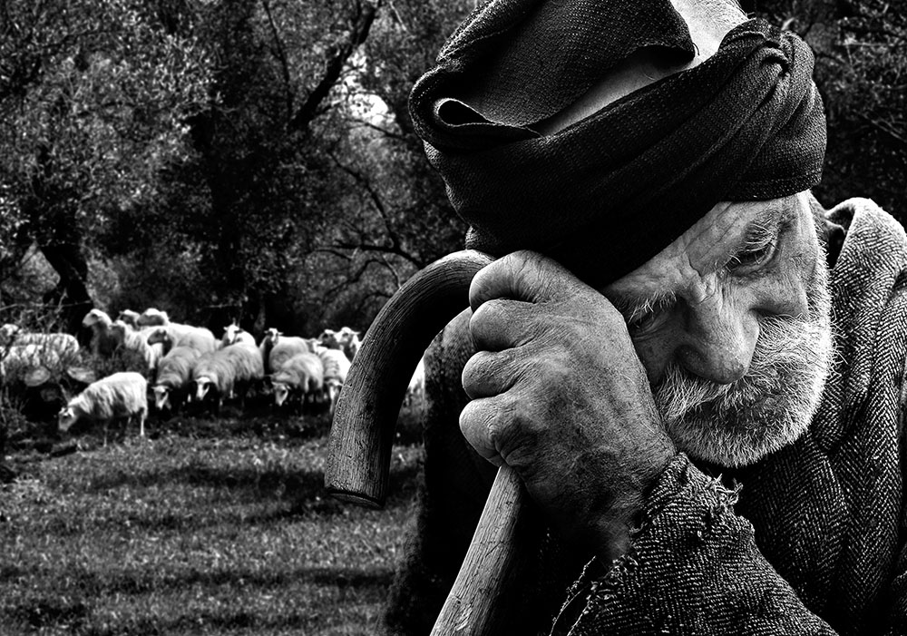 Φωτογραφίες μελών της ΕΦΕ Ηρακλείου - Ελληνική Φωτογραφική Εταιρεία ...